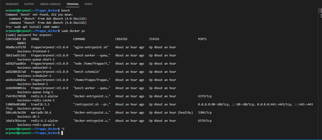 Running Easy Script To Get Docker Instance But Cant Access Bench