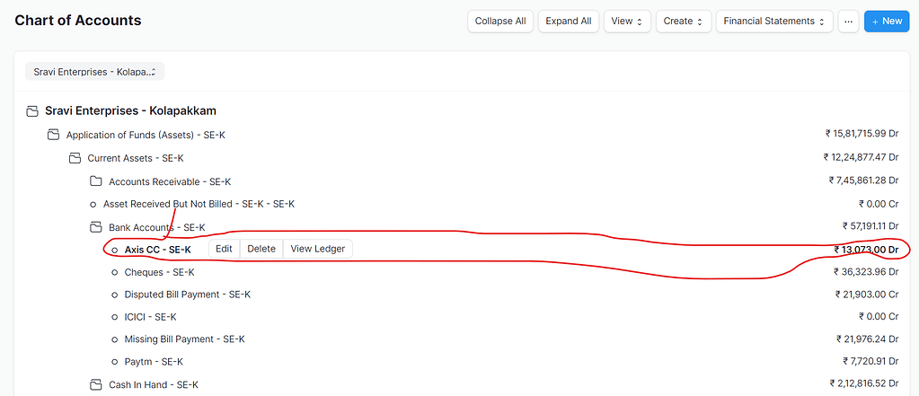 Wrong balances in General Ledger (Not showing Dr's and Cr's in Finance Book JE's) - Accounting ...