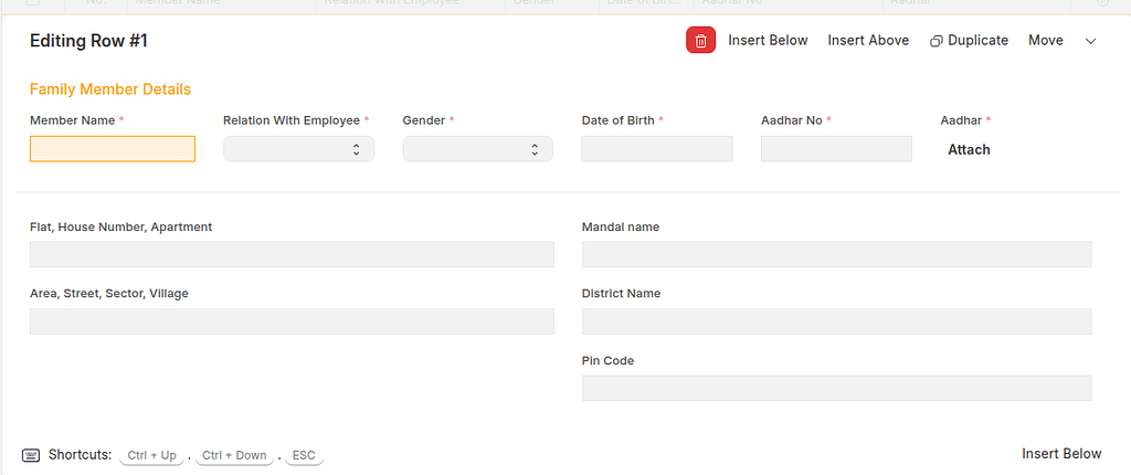 Issue With Web Form Displaying Incomplete Fields From Custom Doctype