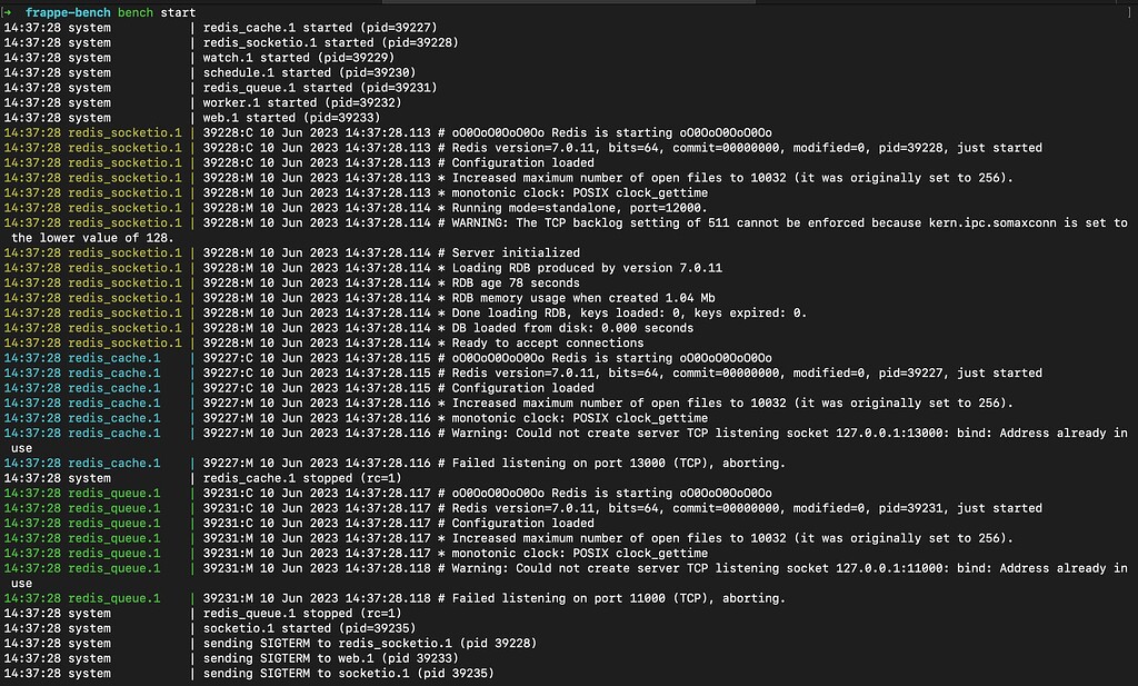Bench start not working if restarting the server - Bug - Frappe Forum